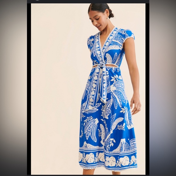 FARM Rio | Dresses | Farm Rio Blue And White Maxi Dress | Poshmark